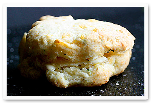 Cheddar Dill Biscuits – SoupAddict