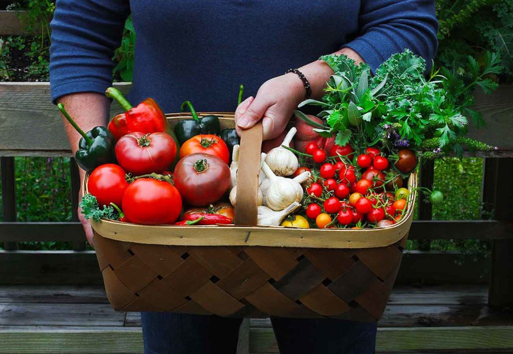 Are You Ready to Go Vegetarian? – Tips for Going Vegetarian – SoupAddict