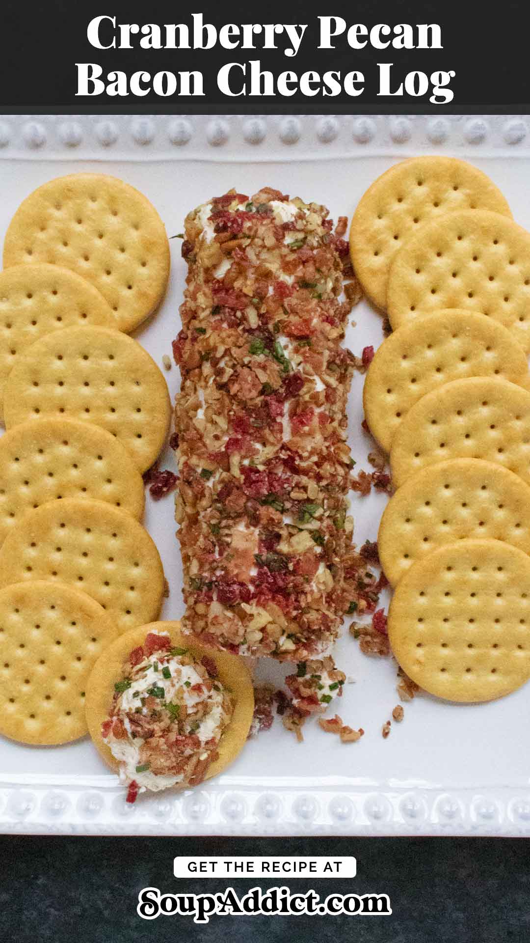 Cranberry Pecan Bacon Cheese Log – SoupAddict